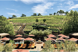 Stay Golden Rewards | The Meritage Collection